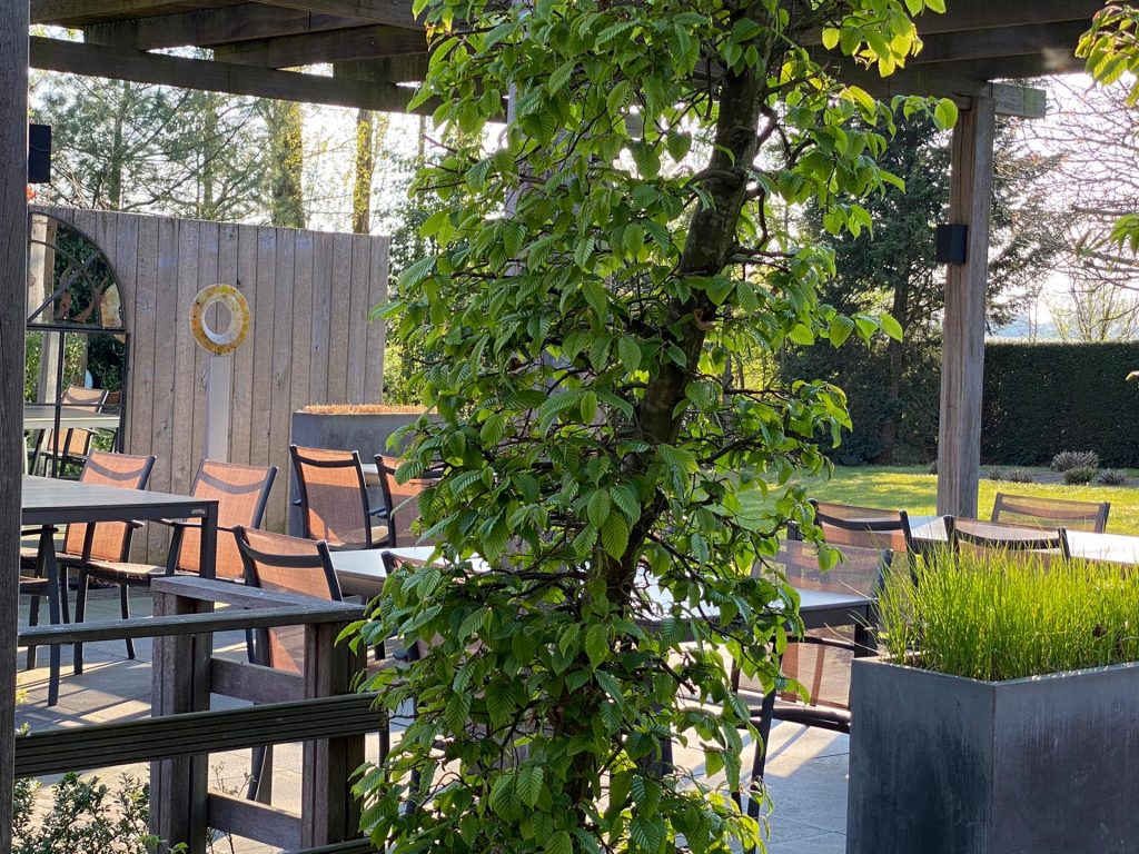 Welkom op de website van restaurant 'De Poort van Cyriel'